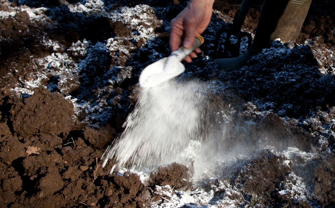 General Purpose Lime | Boral